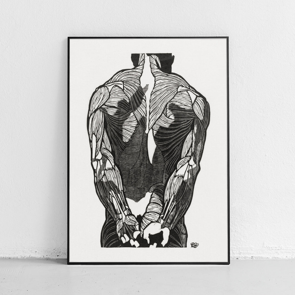 Male Back Muscles - Poster – Poster Polytechnic